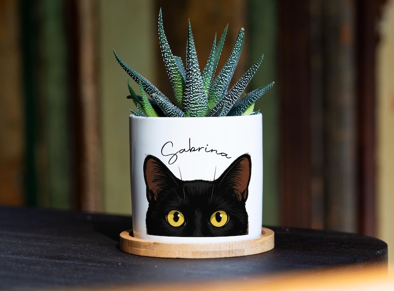 Personalized Black Cat Spa Gift Box - 3" White Ceramic Pot - Black Cat ...