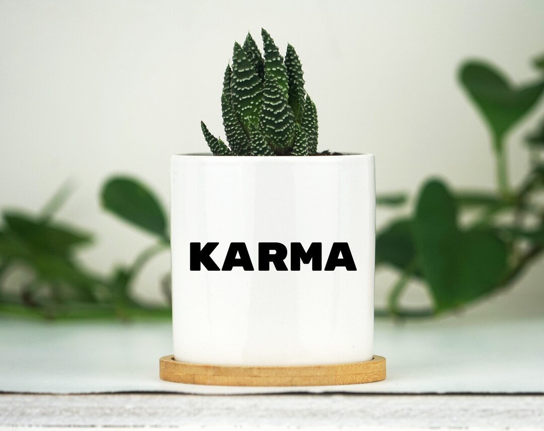 Karma Planter - 3" White Ceramic Pot W/ Bamboo Tray - Karma Gift, Funny ...
