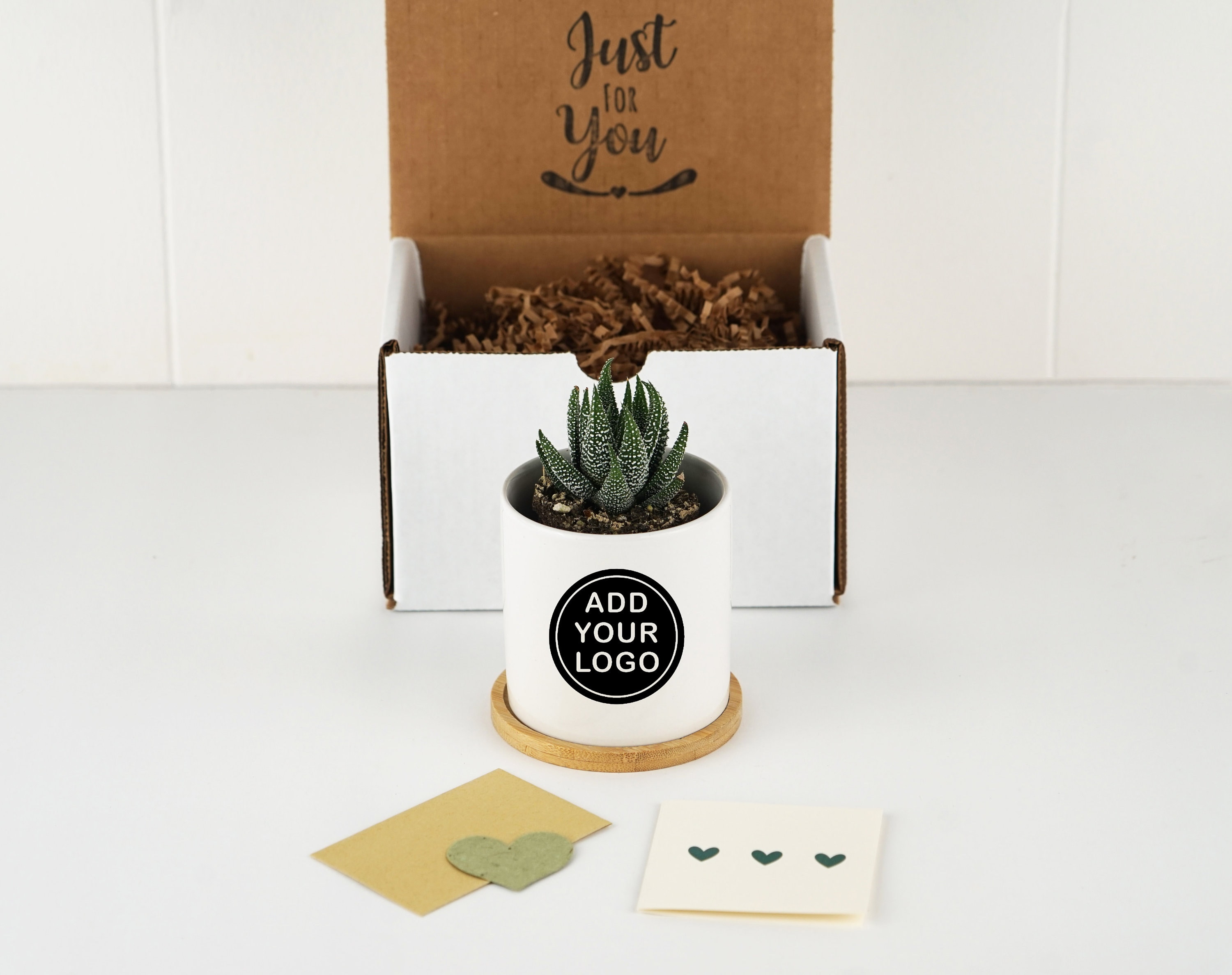 Planter With Custom Business Logo 3 Inch White Ceramic Pot - Etsy