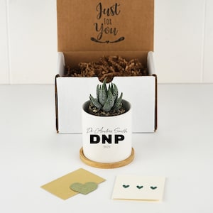 Personalized DNP Graduation Gift - 3" White Ceramic Pot W/ Live Plant - DNP Gift Doctor of ...