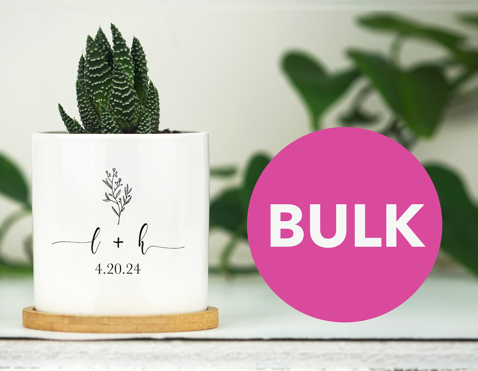 Bulk Planters With Custom Logo - 3" Pot W/ Tray - Personalized ...