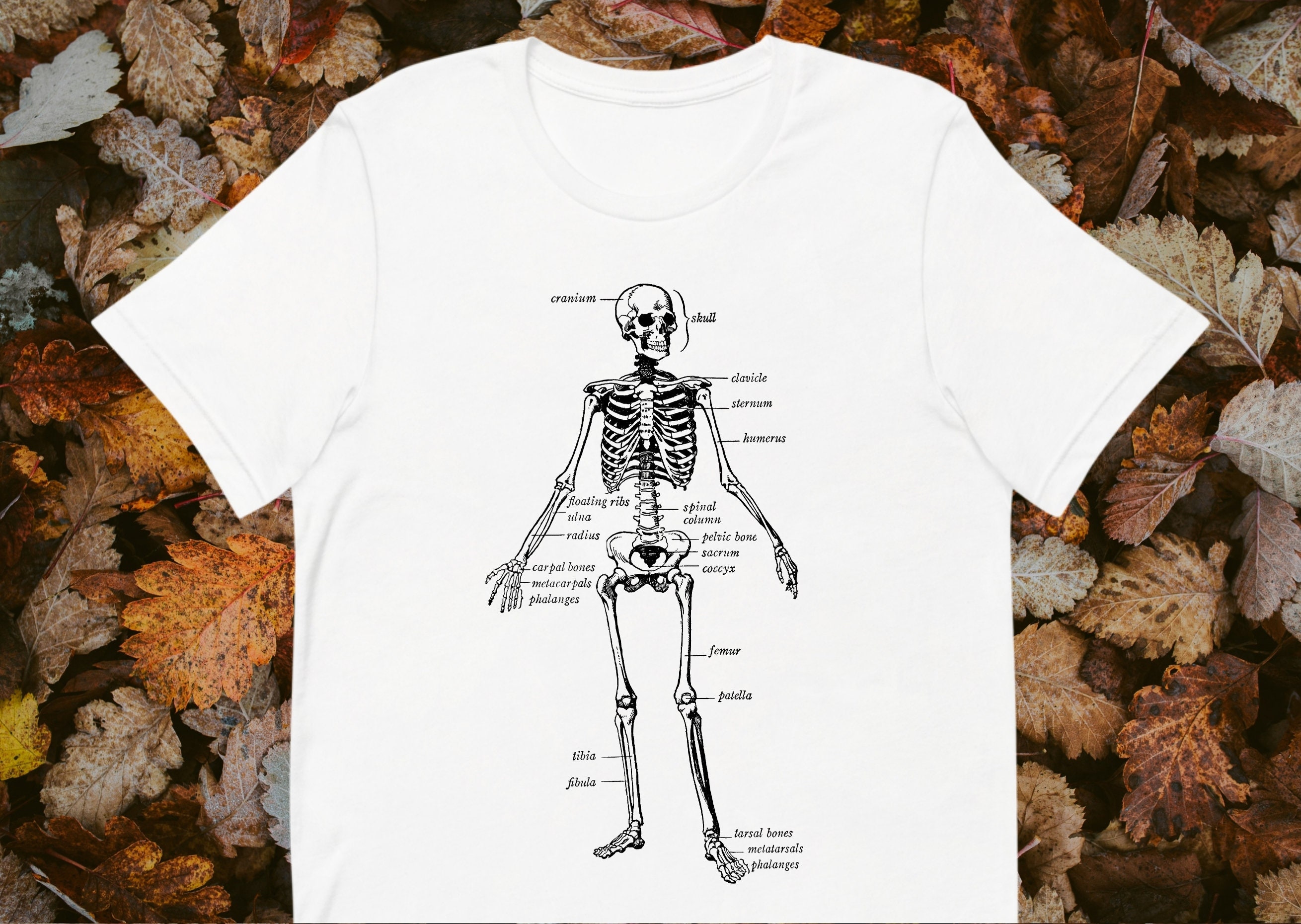 Human Anatomy Shirt Human Skeleton Shirt Skull Shirt Etsy human-anatomy-shirt-human-skeleton-shirt-skull-shirt-etsy