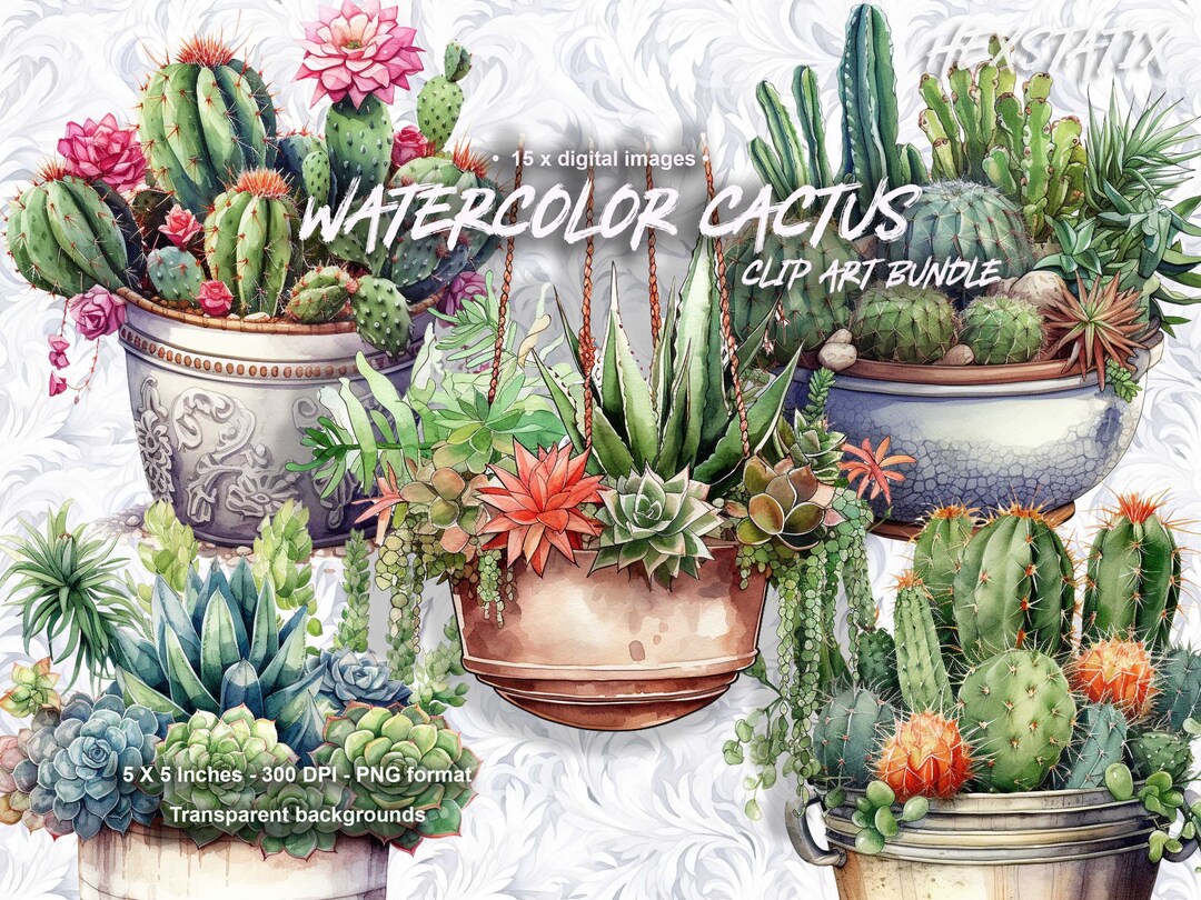 Cactus Plant, Watercolor Cactus Clipart, Flower Clipart PNG, Desert ...