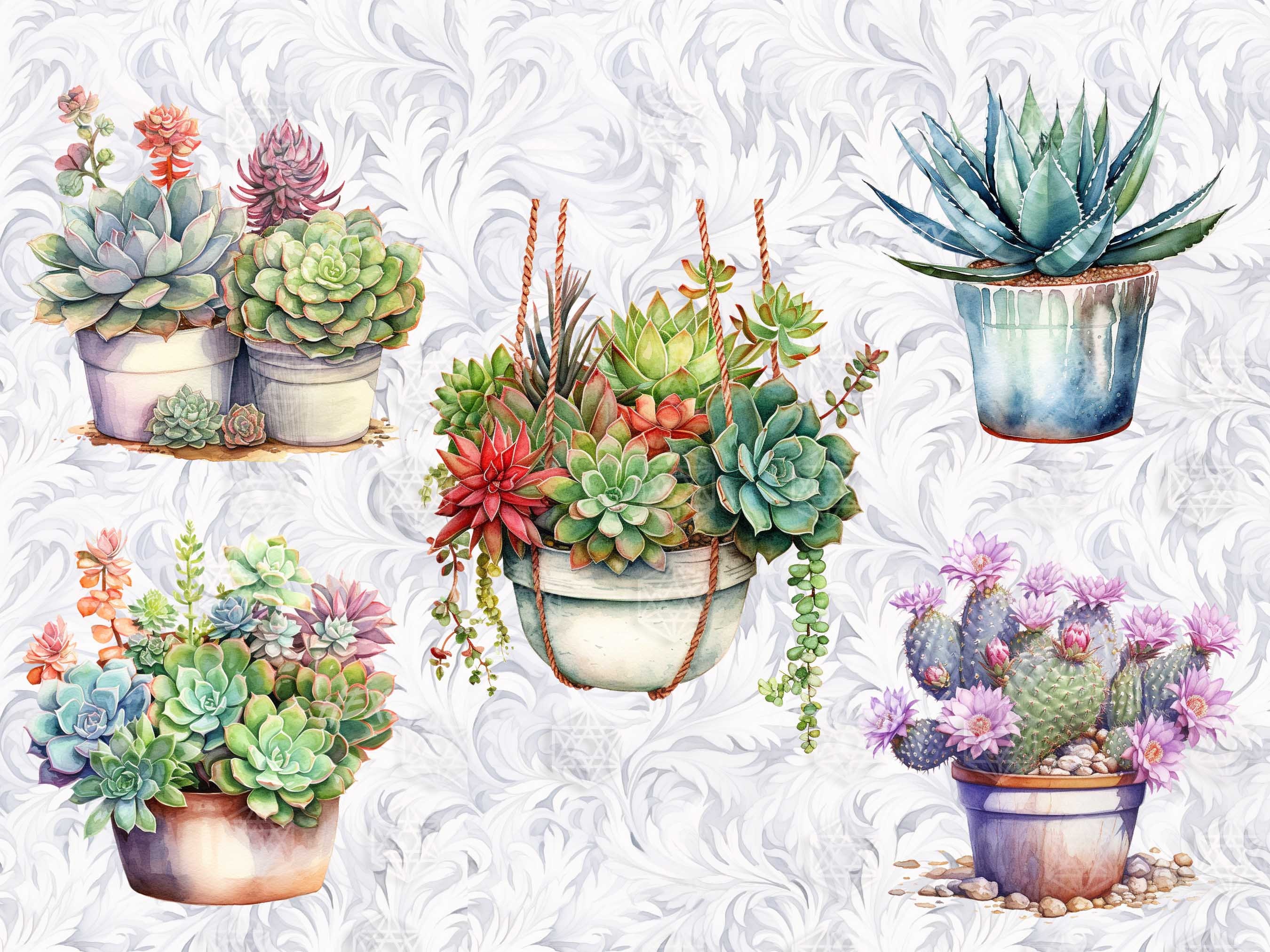 Watercolor Succulent Clipart Digital Art Download Plant Clipart for ...