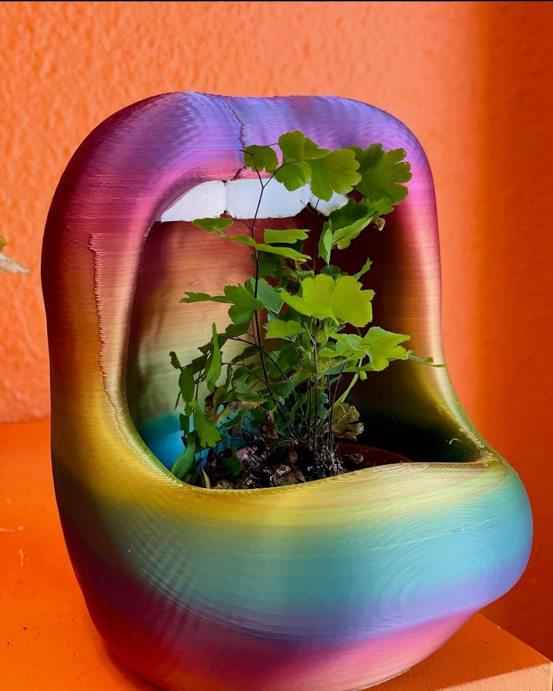 Retro Lips Succulent Planter | Best-seller | 3D Printed Bioplastic Body ...