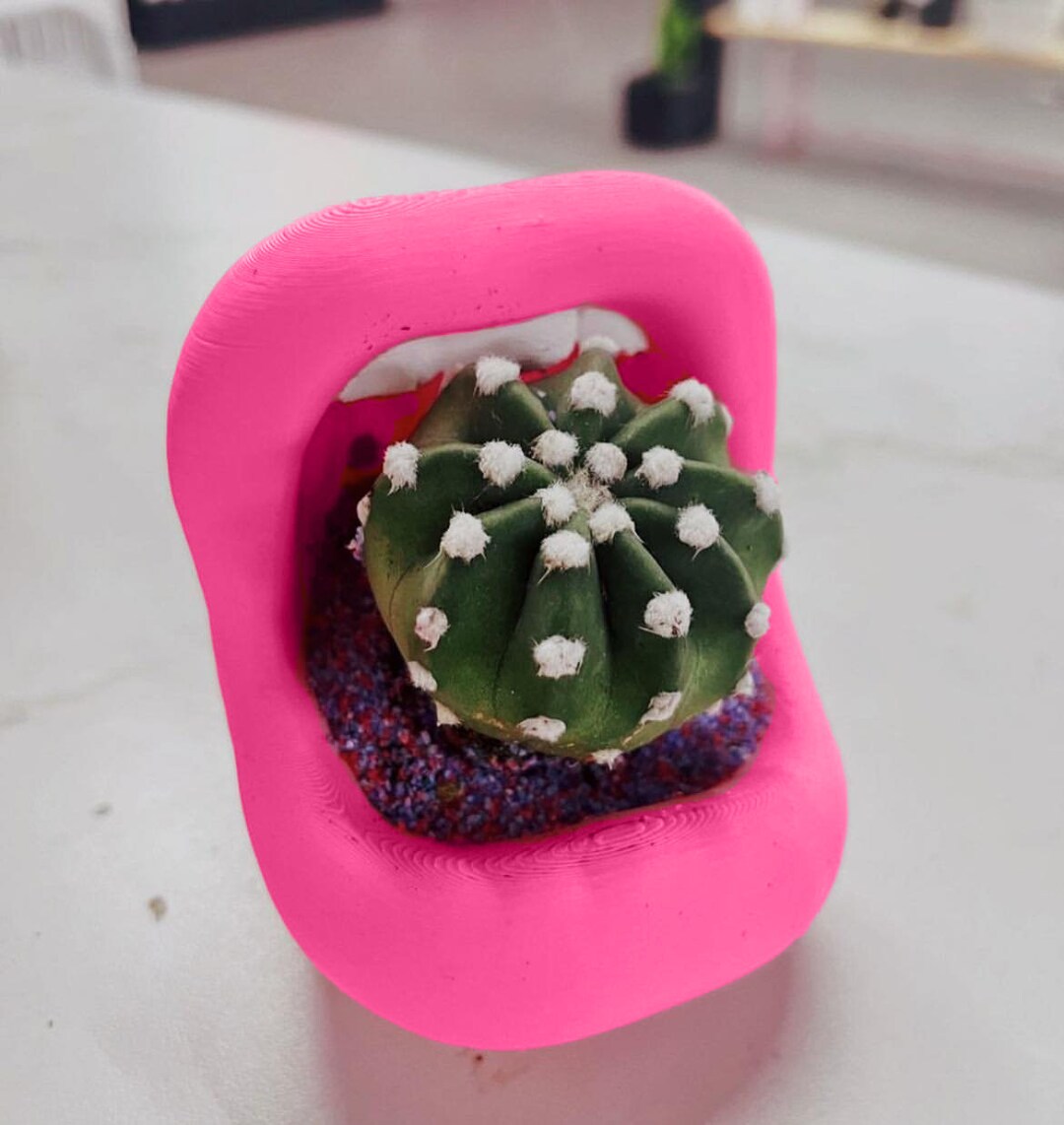Dreamhouse Vintage Lips Planter Lips Mouth Plant Pot - Etsy