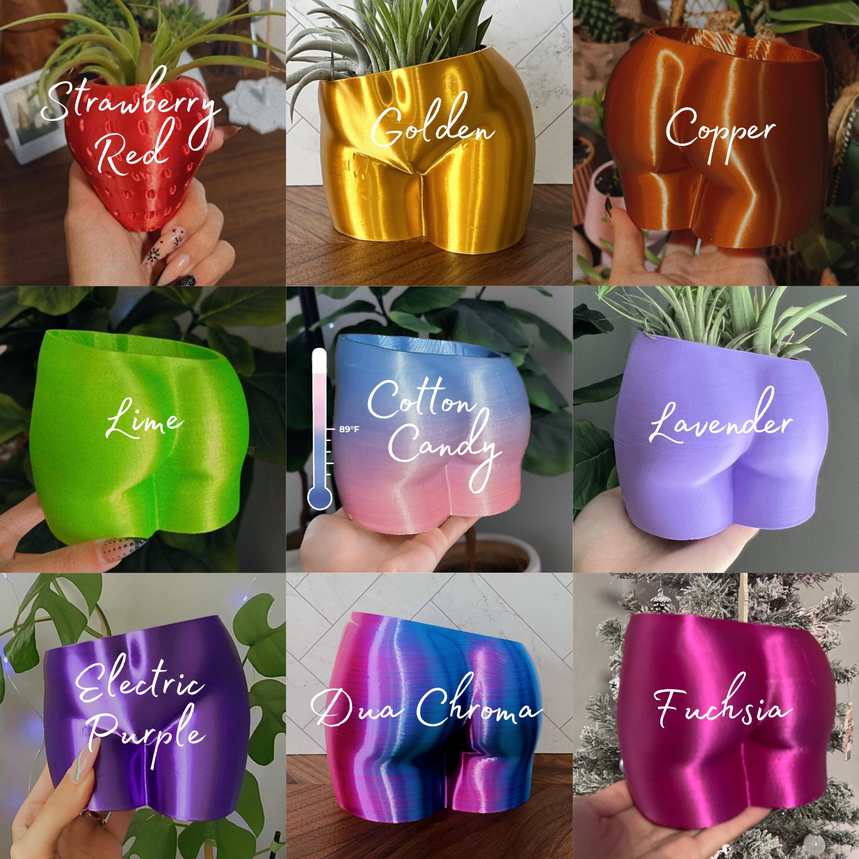 Plant Pics Only Penis Planter Sustainable 3D Printed - Etsy