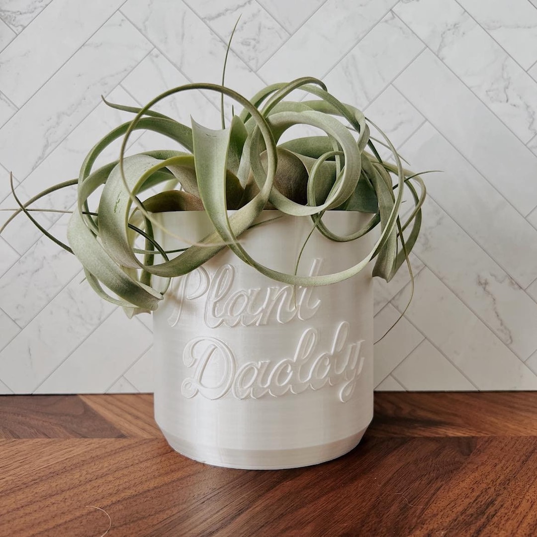Plant Daddy | Succulent Planter | 3D Printed Bioplastic With Drainage ...