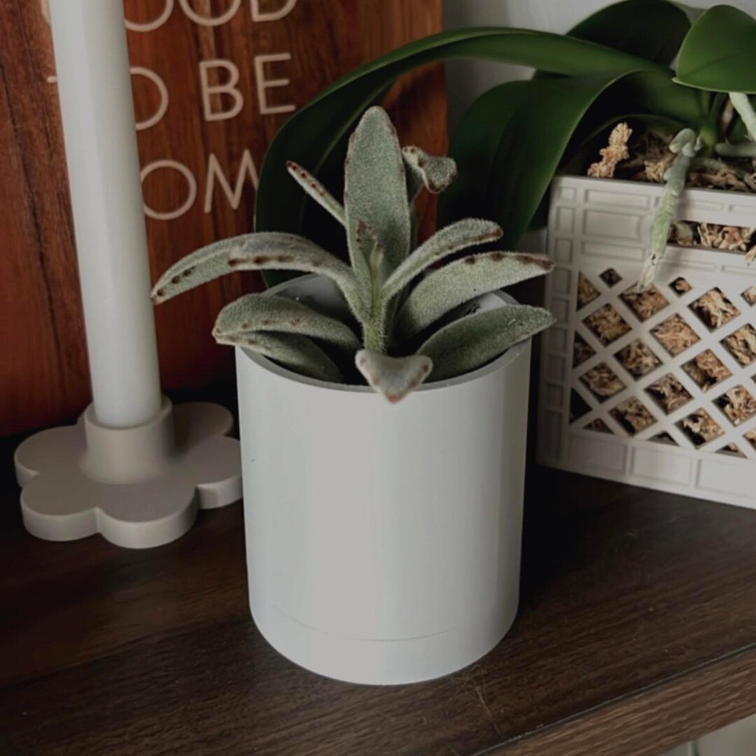 Smooth Classic Planter With Seamless Tray Modern Planters 3D Printed ...