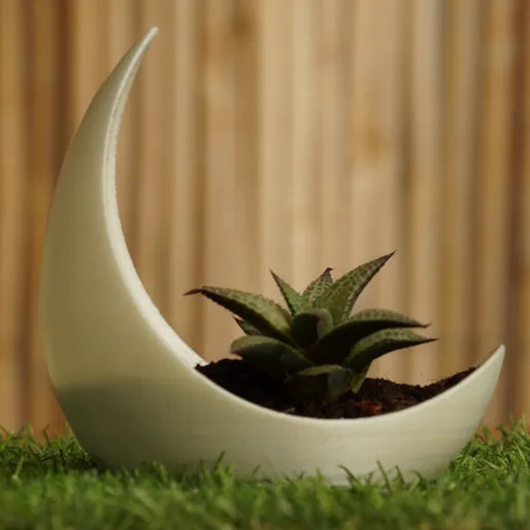 La Luna Planter Crescent Moon Planter Sustainable 3D - Etsy UK