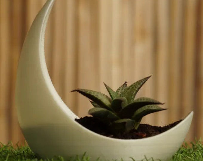 Crescent Moon Wall Plant Pot - Etsy