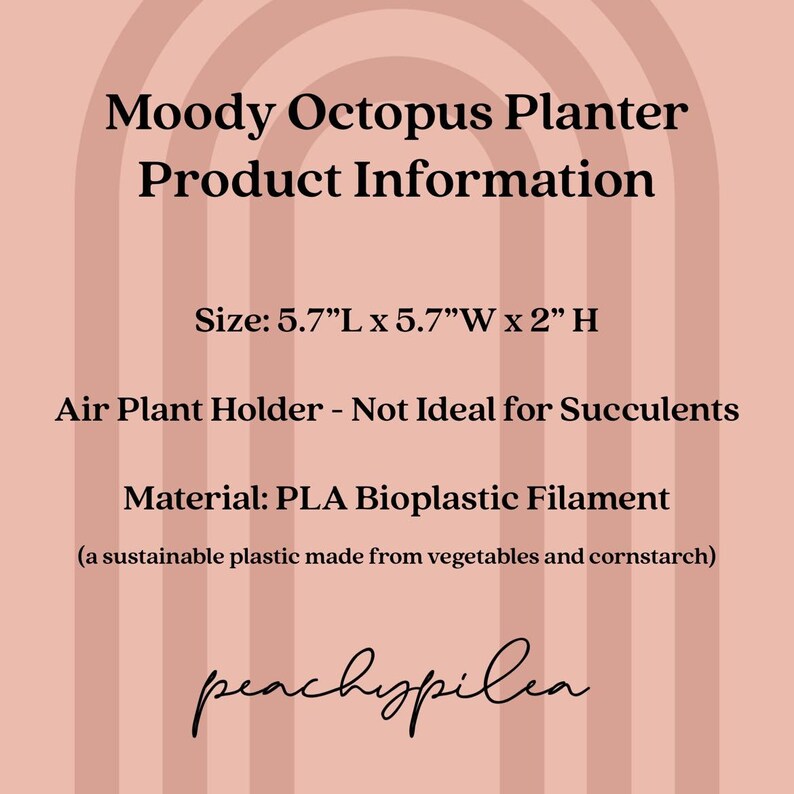 Angry Octopus Air Plant Holder Mood Octopus Sustainable 3D - Etsy