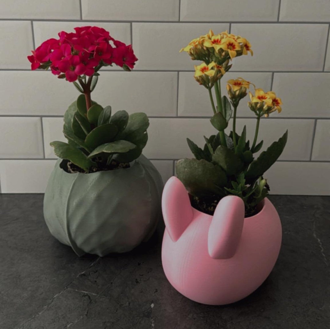 Cabbage Planter Easter Decor Spring Cabbage Vegetable Planter 3D ...