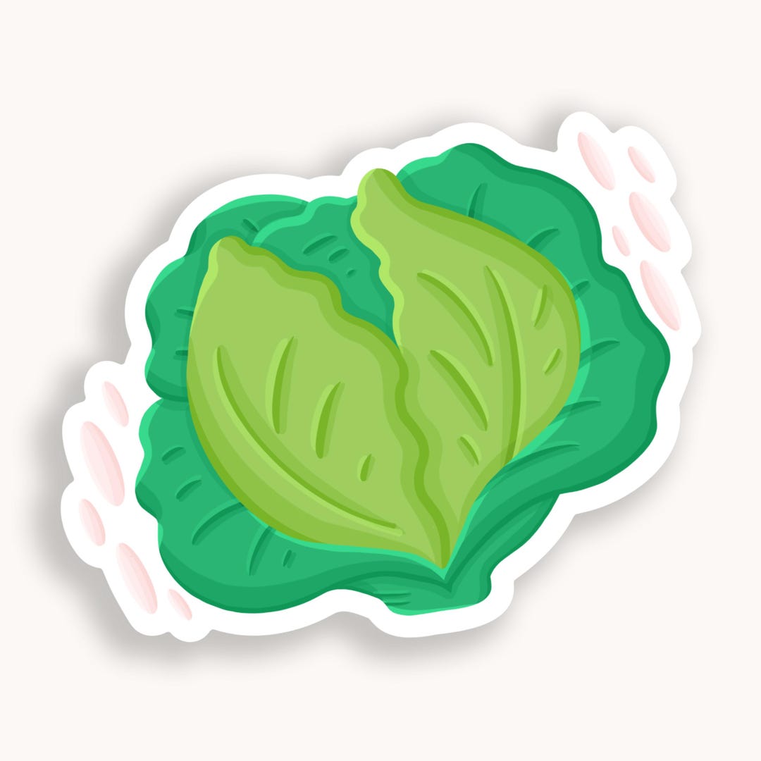 Cabbage Sticker 3x2.5", Food Stickers, Vegetables Sticker, Laptop ...