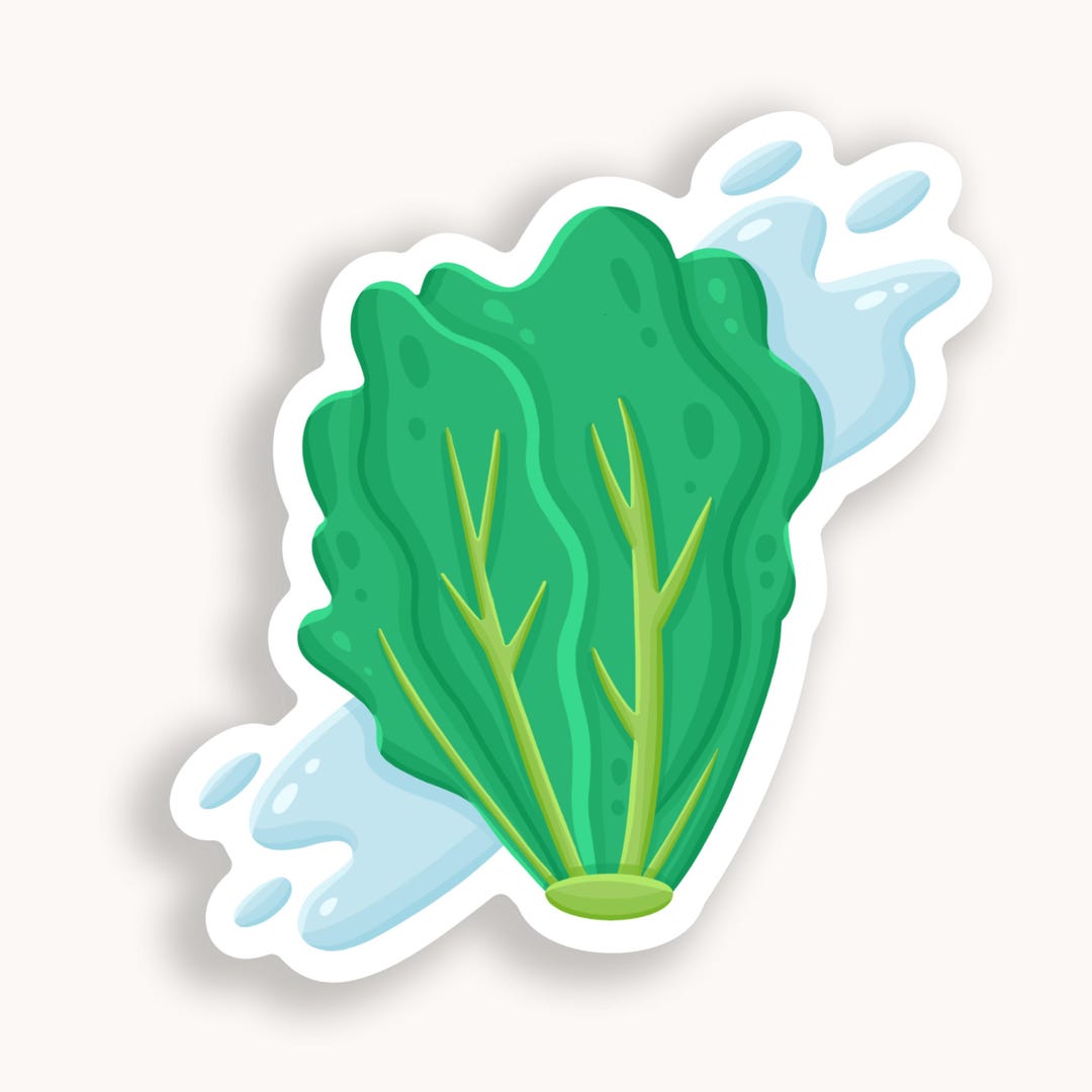Lettuce Sticker 2.8x3", Food Stickers, Vegetables Sticker, Laptop ...