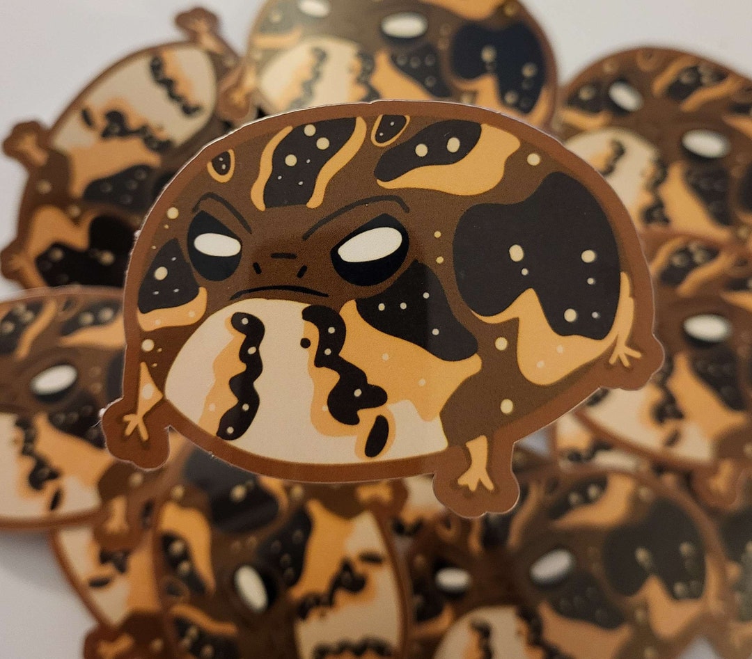 Grumpy Desert Rain Frog Sticker - Etsy