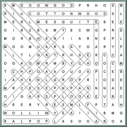 Word Search Puzzle trees ... With Word Clues - Etsy