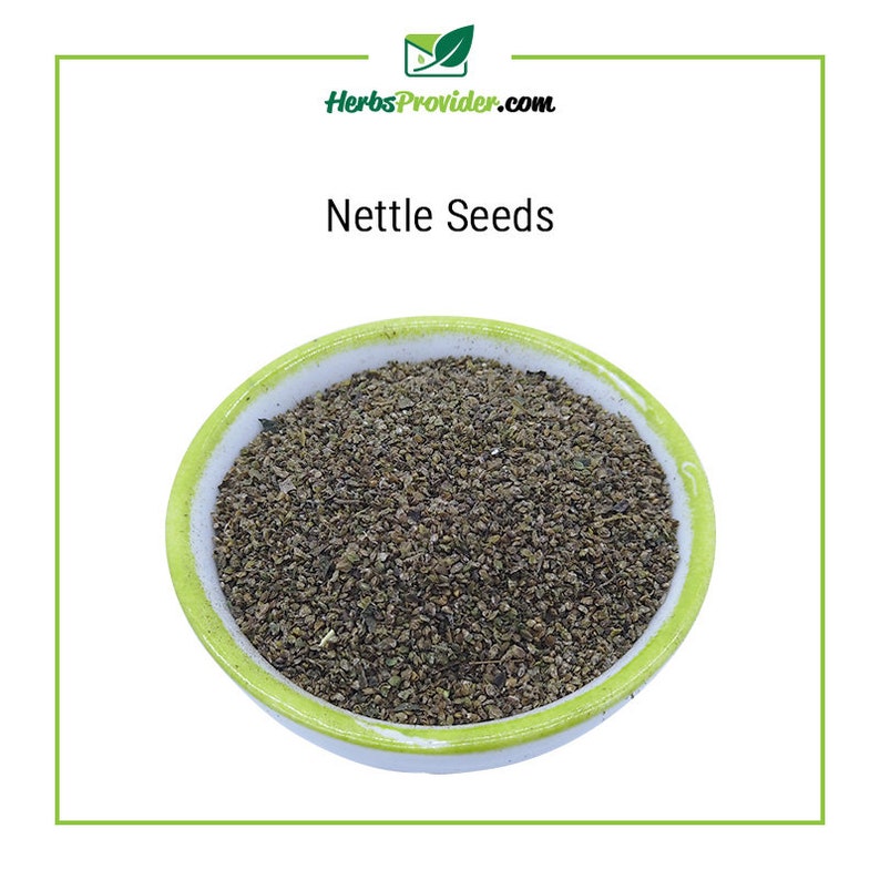 NETTLE Seeds Available From 1/2oz-4lbs Urtica Dioica Semens Bulk ...