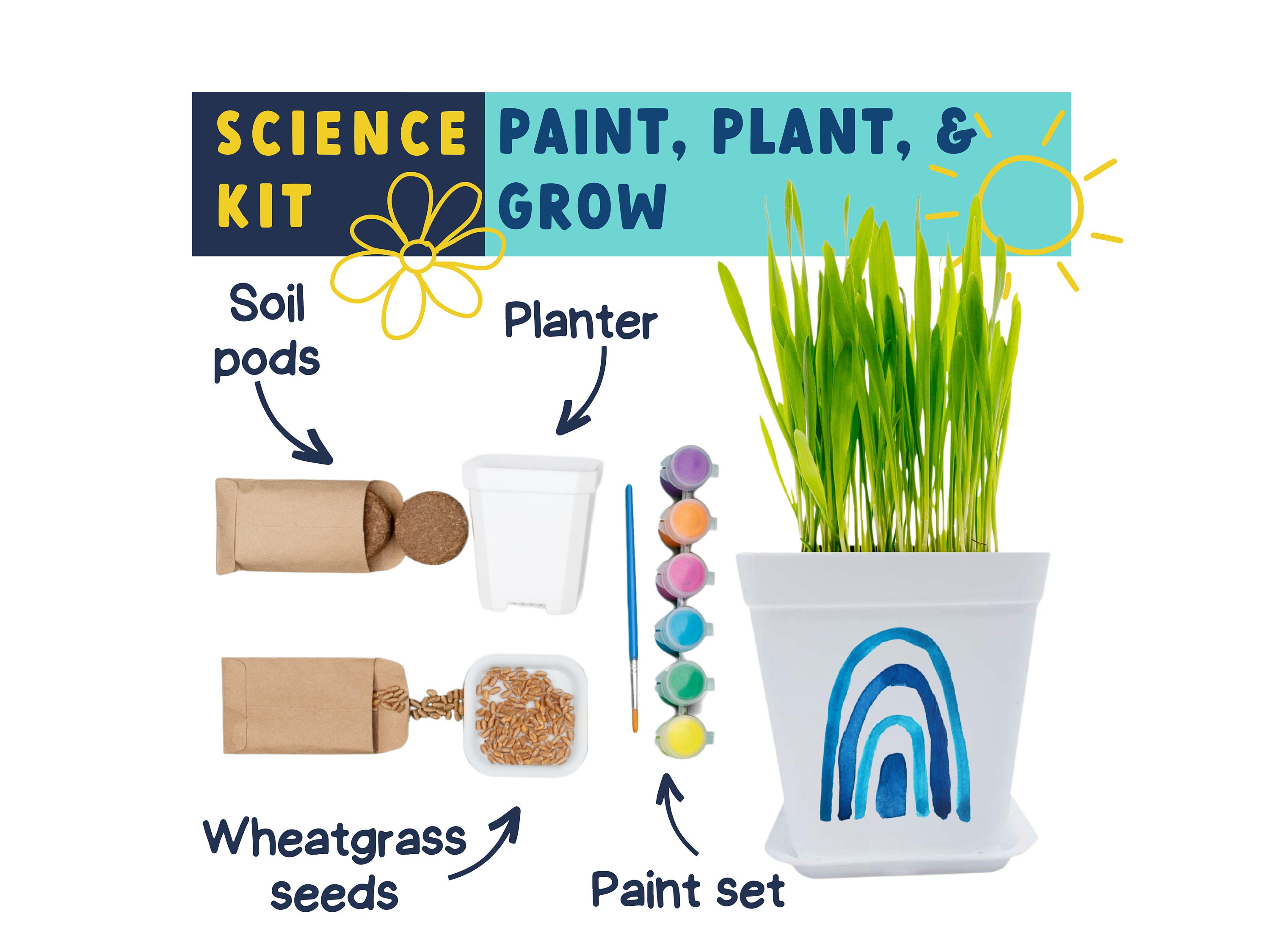 Kids Indoor Plant Kit, Wheatgrass Seeds, Soil Pods, and Planter Kit ...