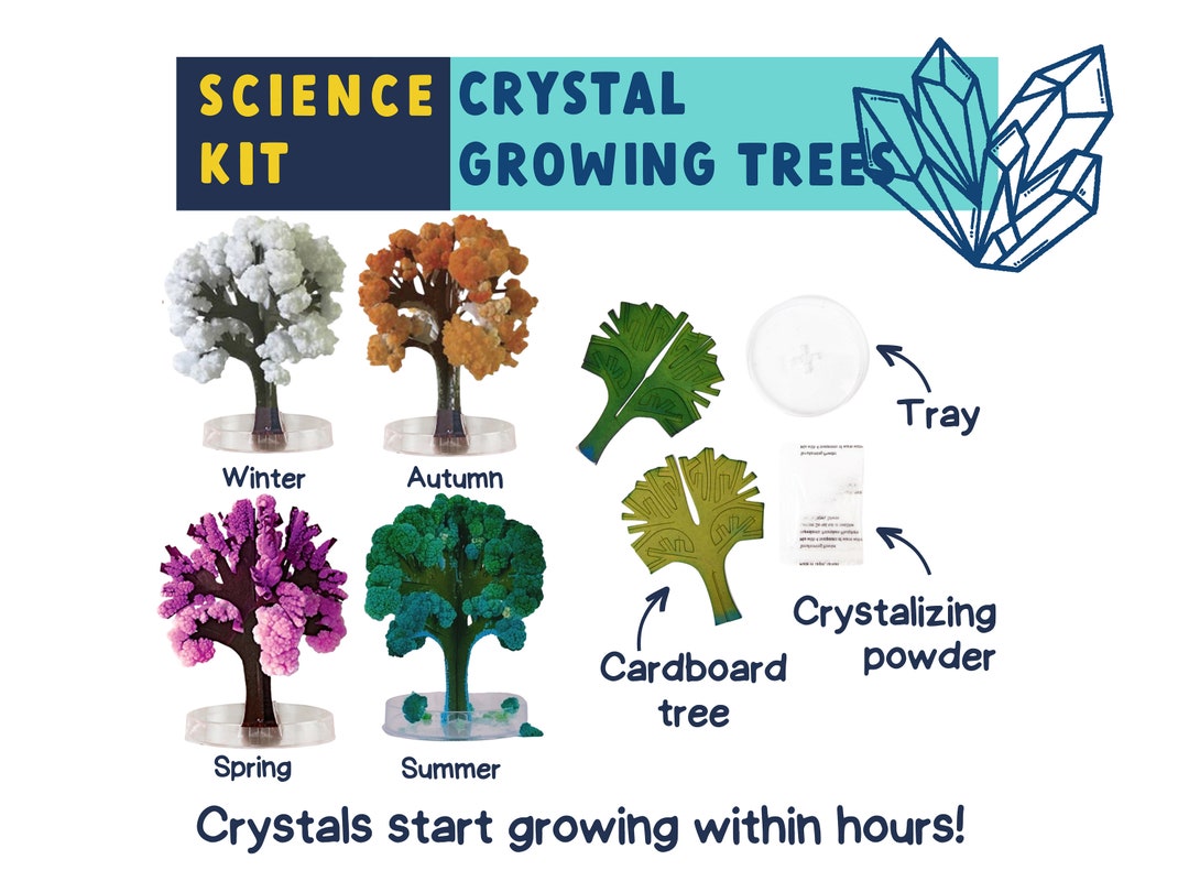 Grow Your Own Crystal Tree Craft Kit, Green, Orange, Pink, or White ...