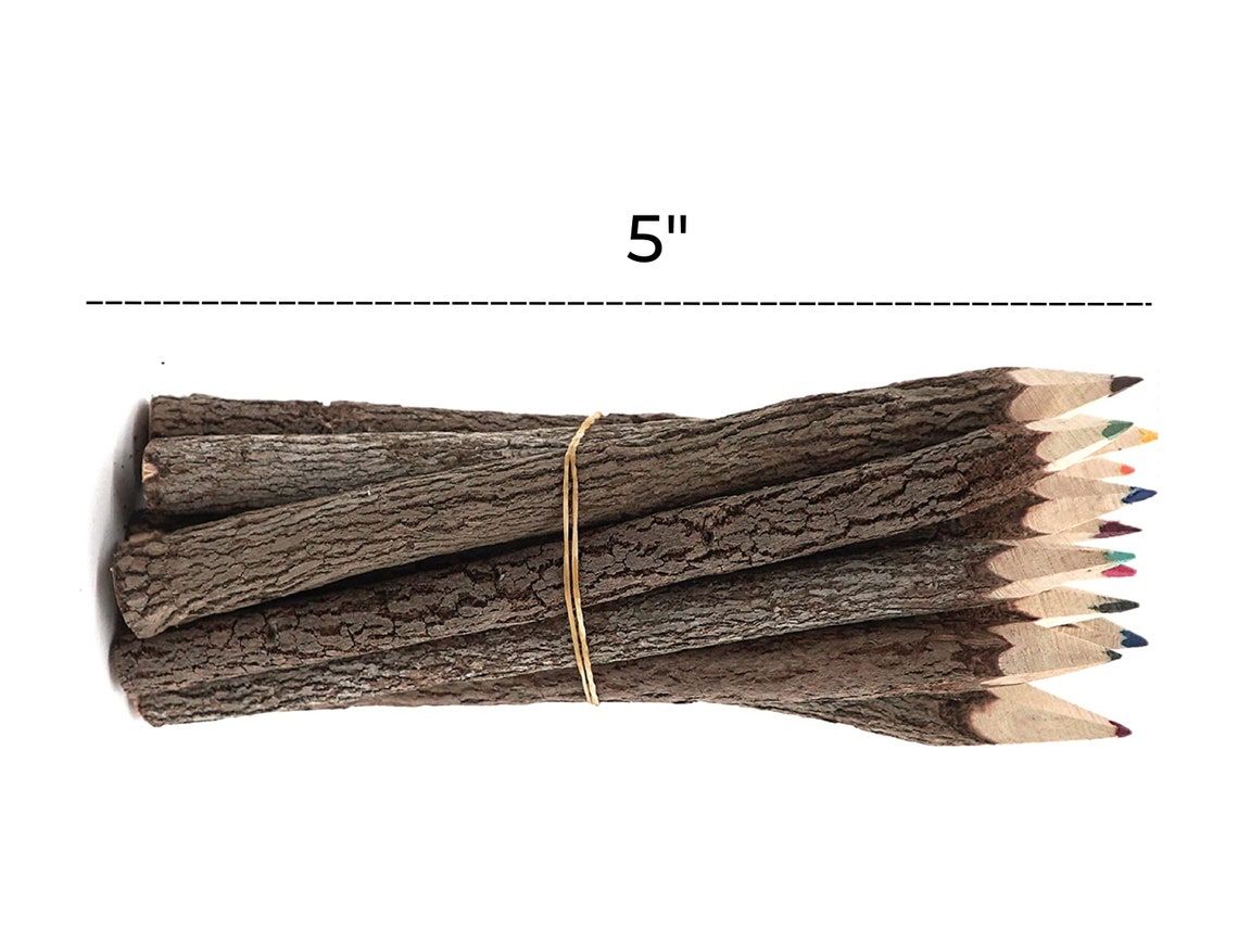 5" Twig Pencils, Twig Pencil, Outdoor Crafts, Summer Birthday Party ...
