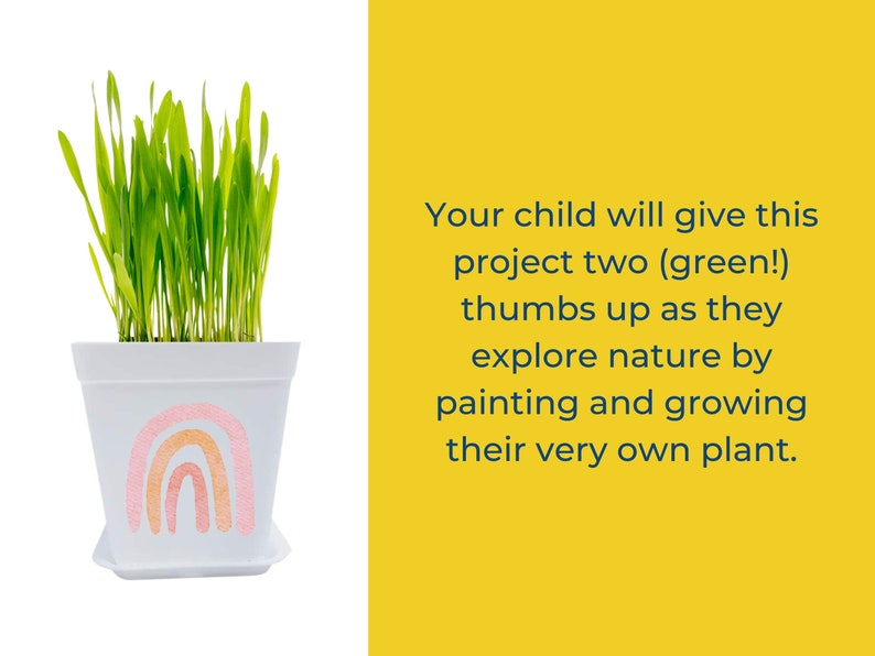 Kids Plant Kit Wheatgrass Seeds Soil Pods Paint and Planter - Etsy