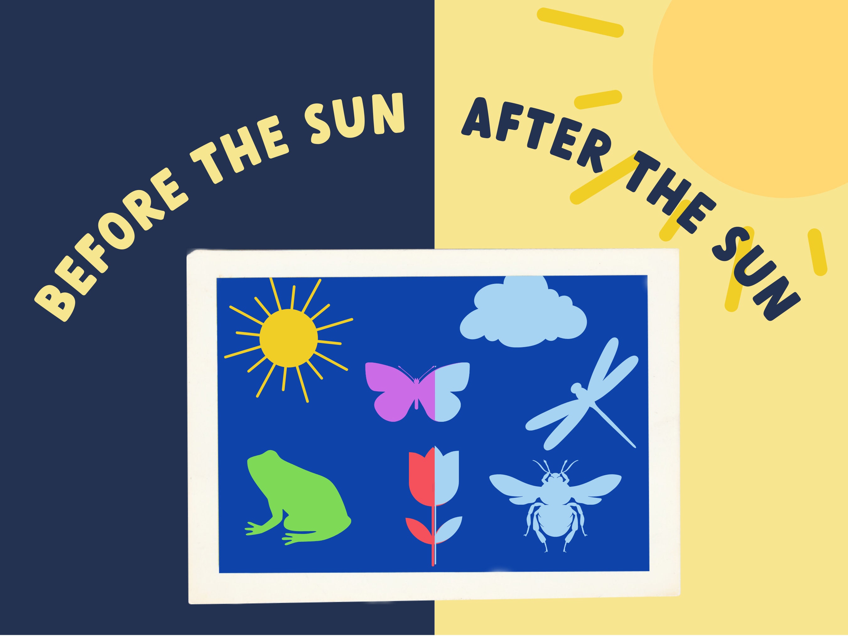 Cyanotype Sun Print Paper Craft Kit With Nature Stencils and Frame ...