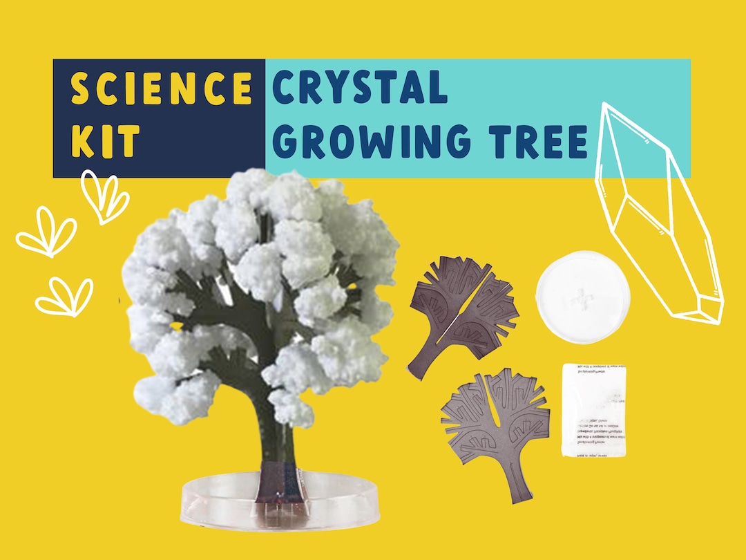 Crystal Growing Tree Kit: Science STEM Toy for Kids Ages 6+ - Etsy
