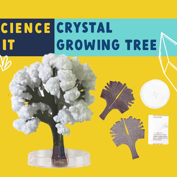 Science Kit for Kids - Etsy