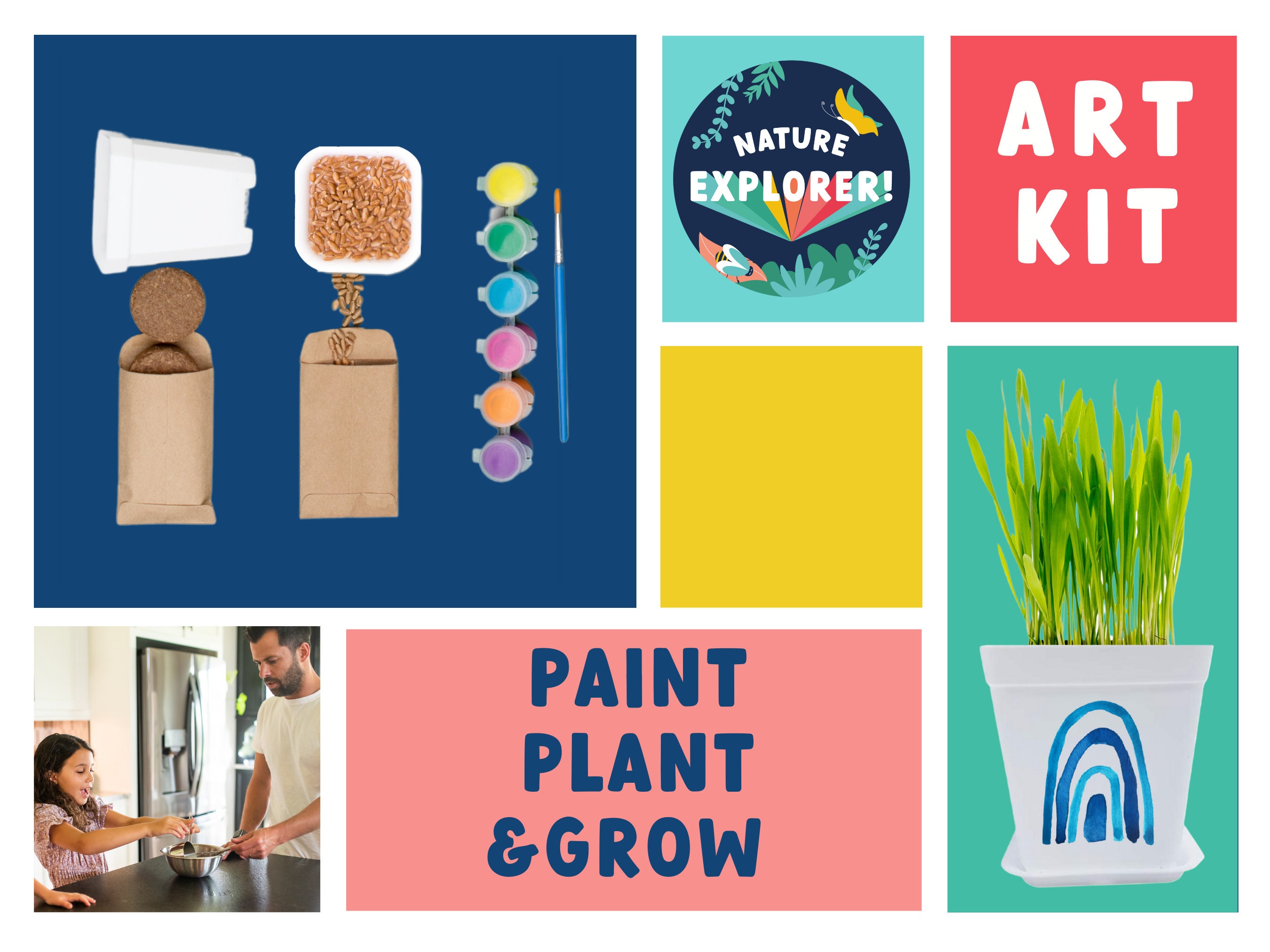 Paint and Plant Craft Kit With Wheatgrass Seeds and Paint Kit Art ...