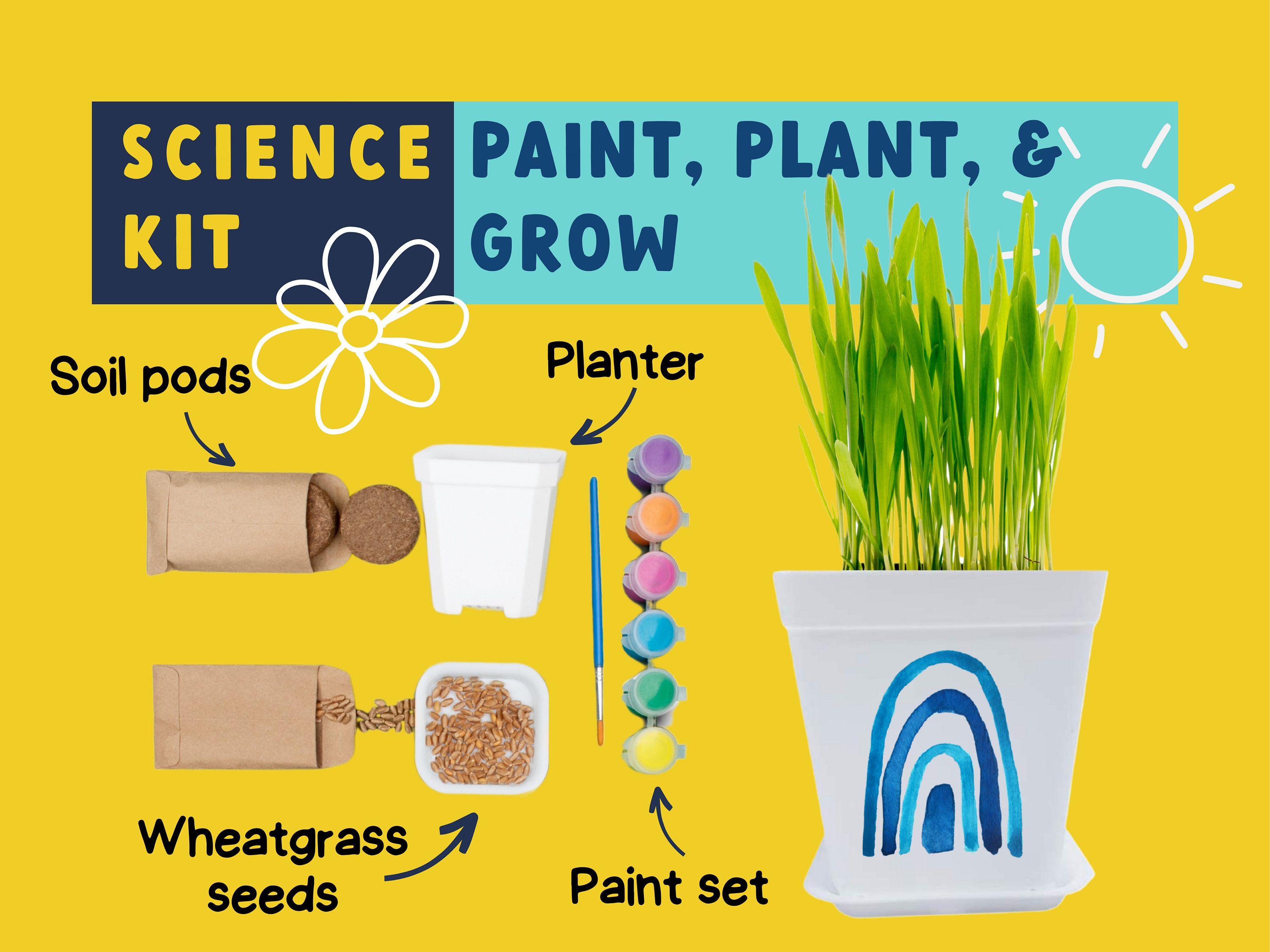 Kids Plant Kit, Wheatgrass Seeds, Soil Pods, Paint and Planter Kit ...