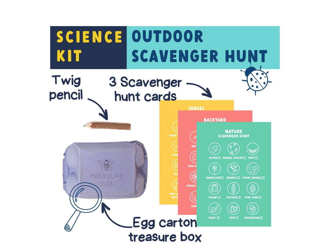3 Outdoor Scavenger Hunt Cards, Egg Carton Treasure Box and Twig Pencil ...