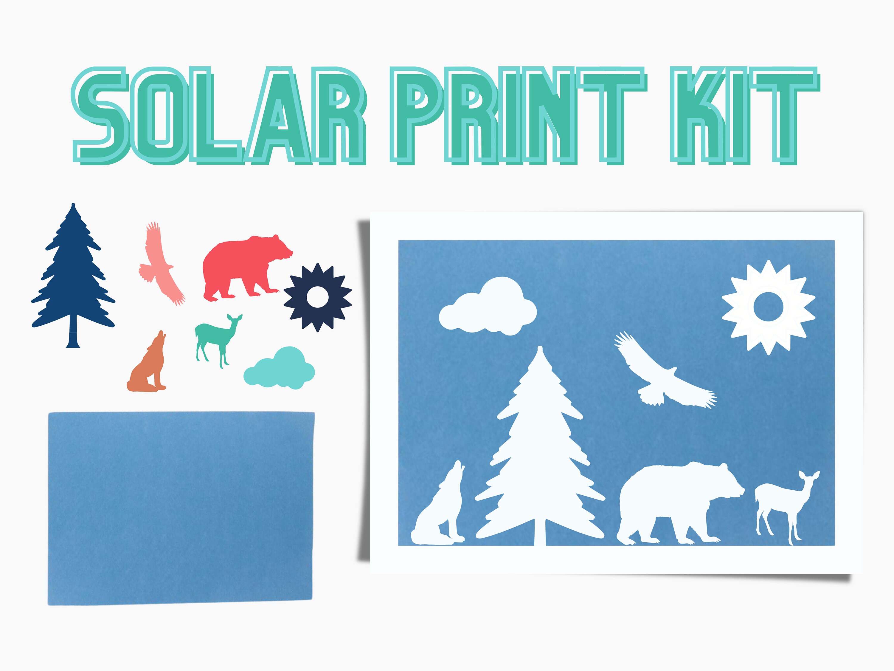Solar Printing Kids Craft Kit With Sun Print Paper, Nature Stencils ...
