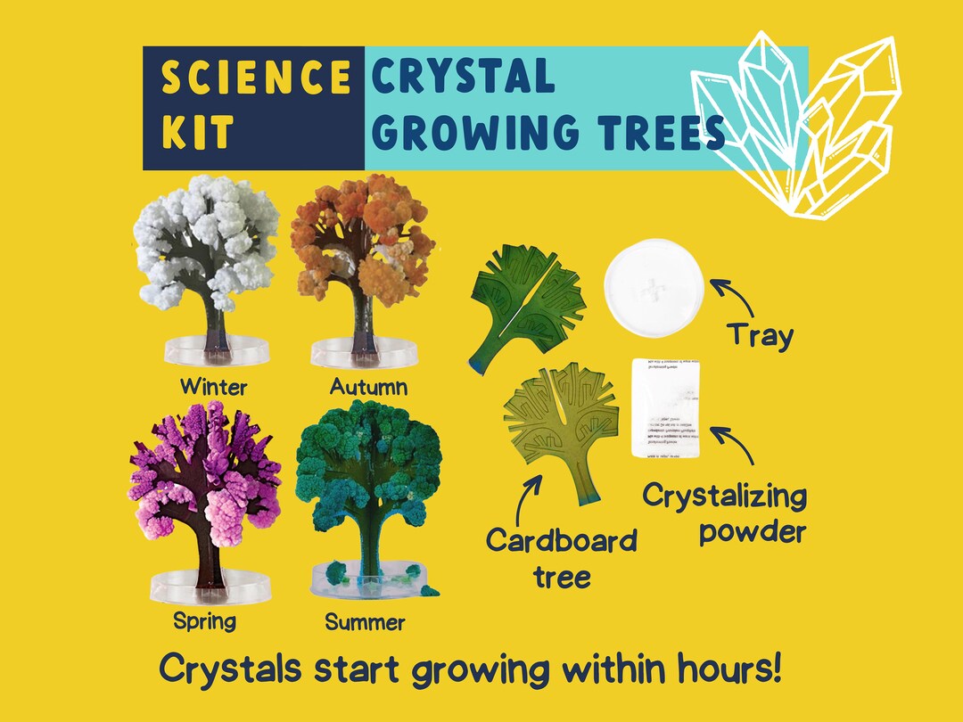 Grow Your Own Crystal Tree Kit – Science Gift for Kids | STEM Craft Kit ...