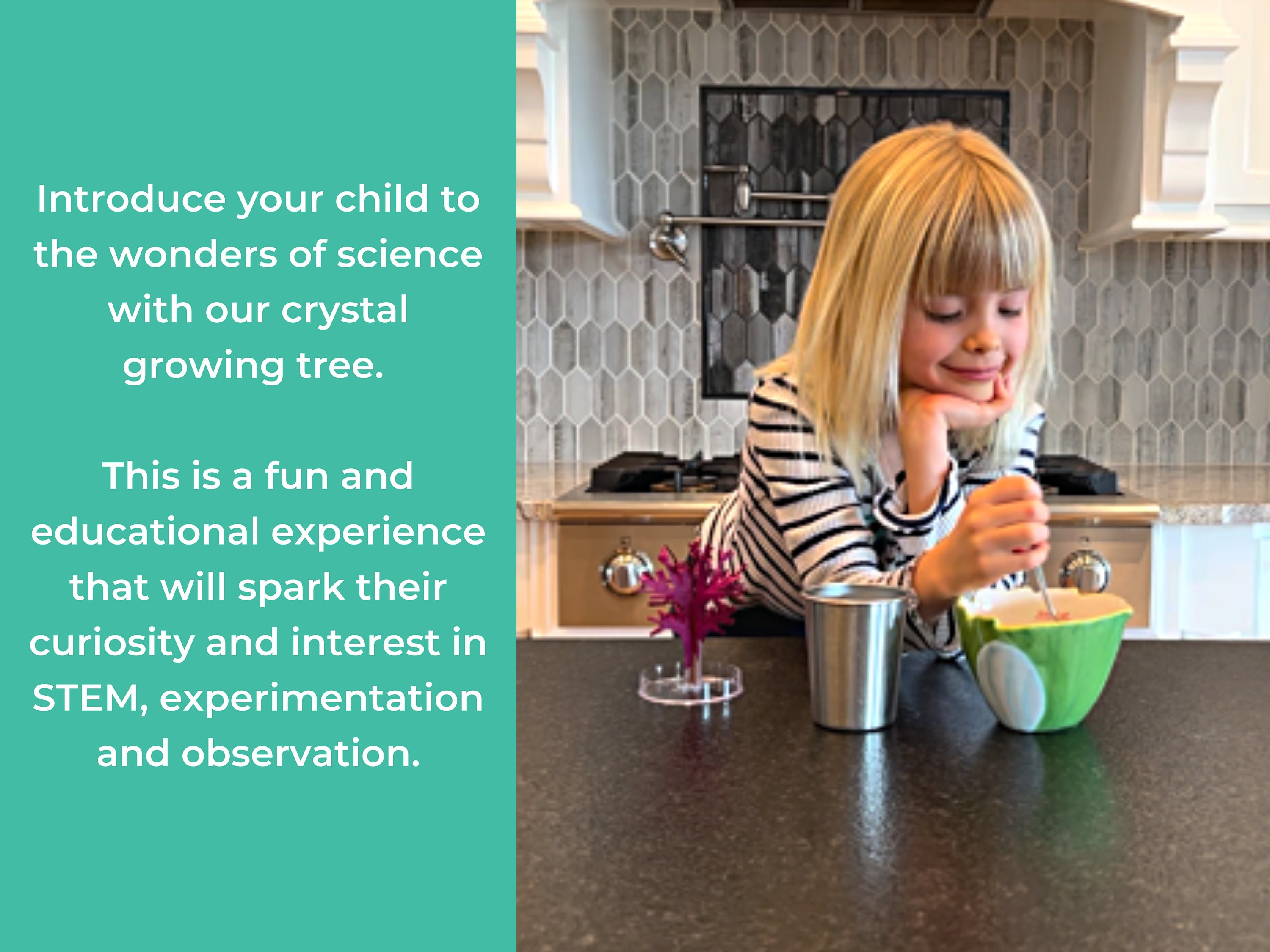 Grow Your Own Crystal Tree Craft Kit, Green, Orange, Pink, or White ...