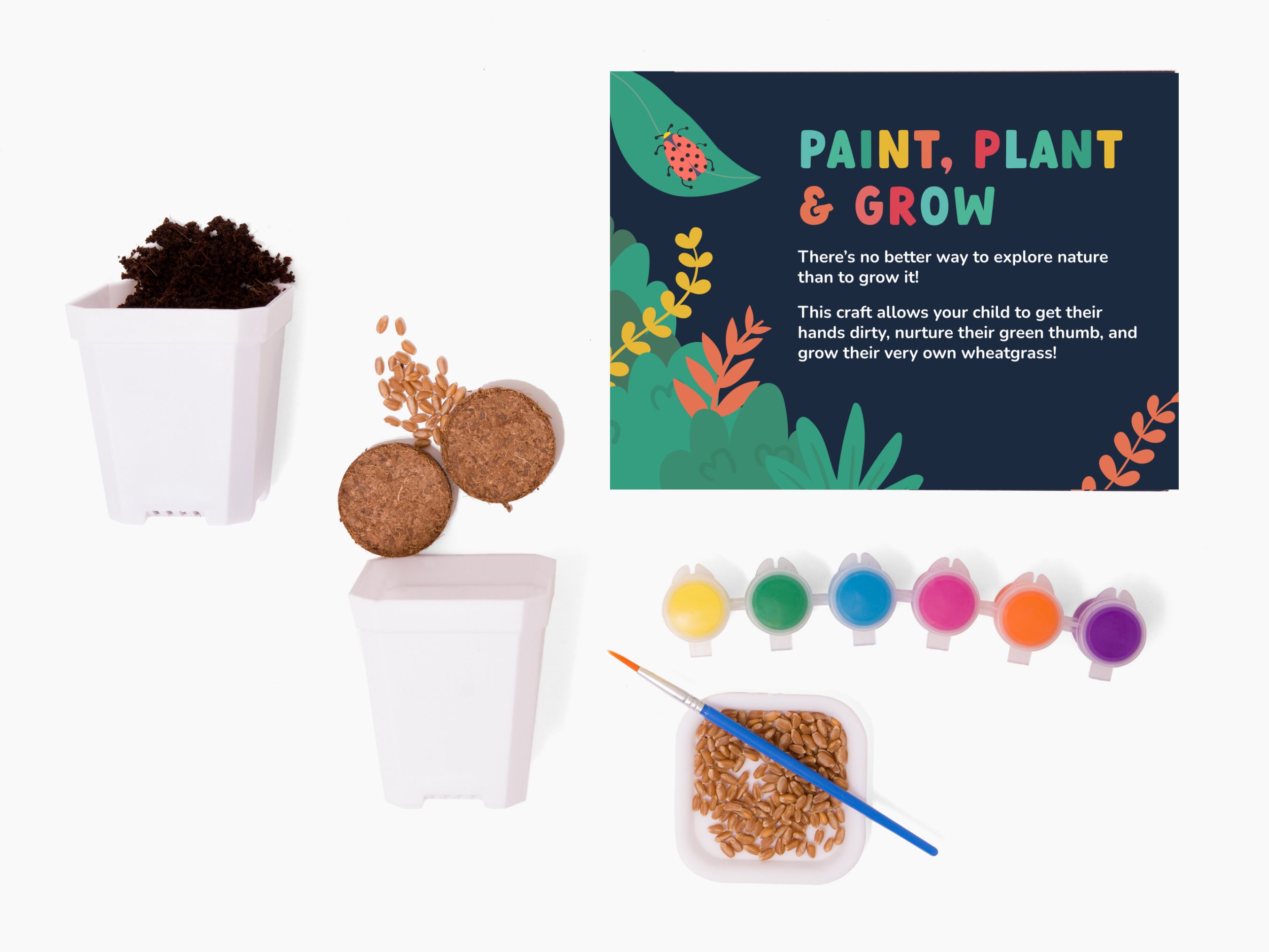 Homeschool Nature Homeschool Nature Curriculum Homeschool - Etsy