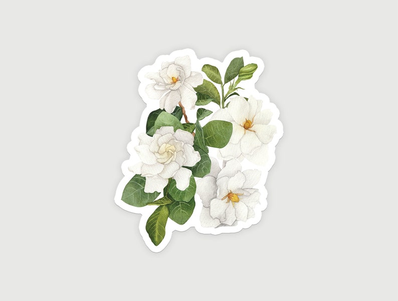 Watercolor Gardenias Vinyl Sticker Spring Flowers - Etsy