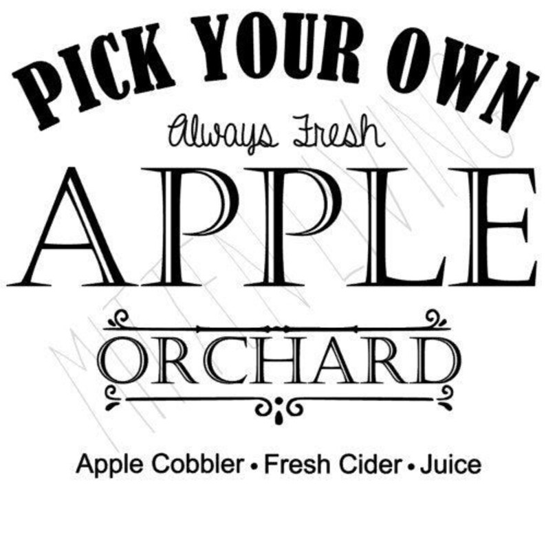 Apple Orchard. SVG - Etsy