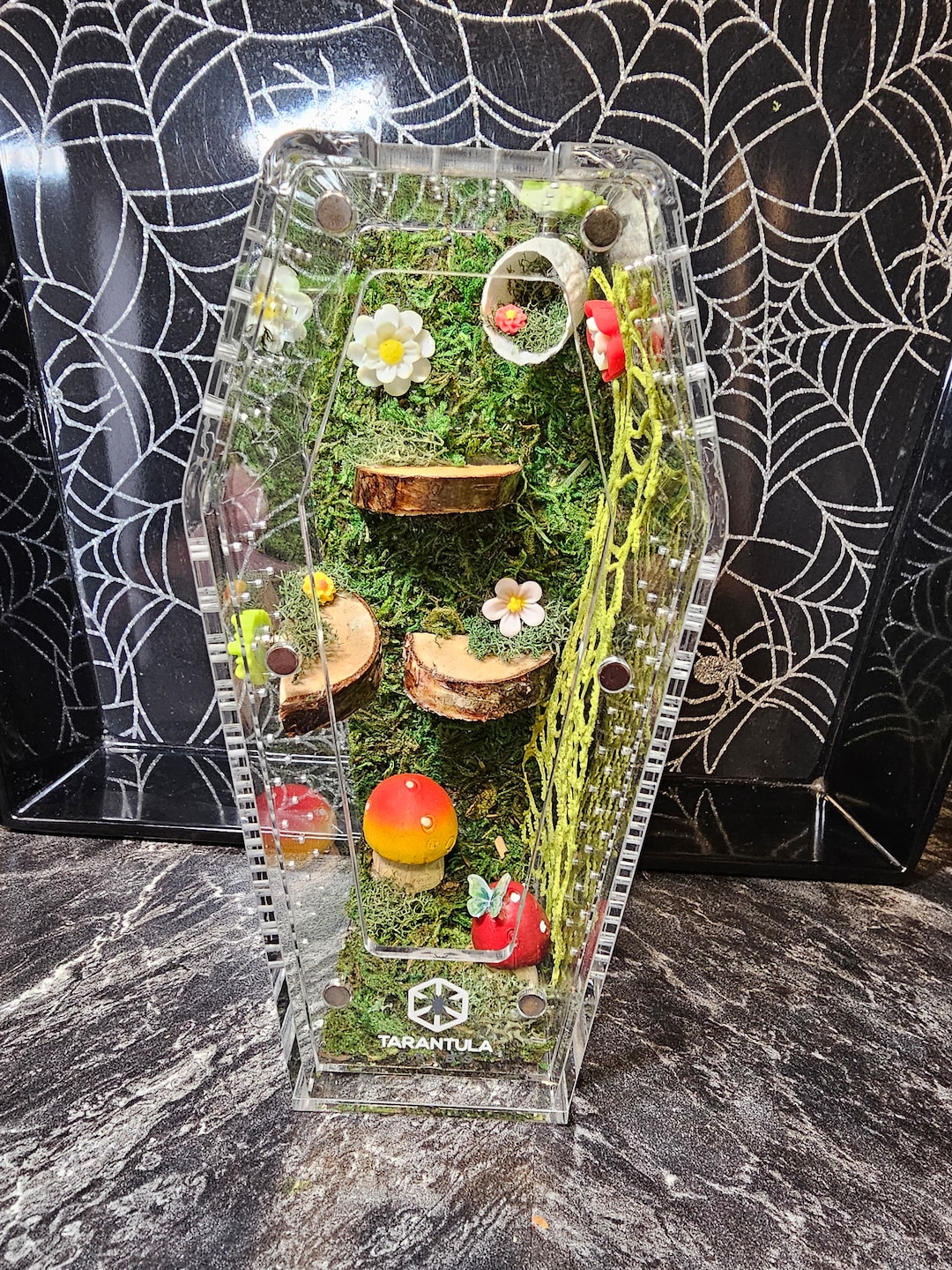 Jumping Spider Coffin Magnetic Enclosure / Terrarium, Mushroom Forest ...