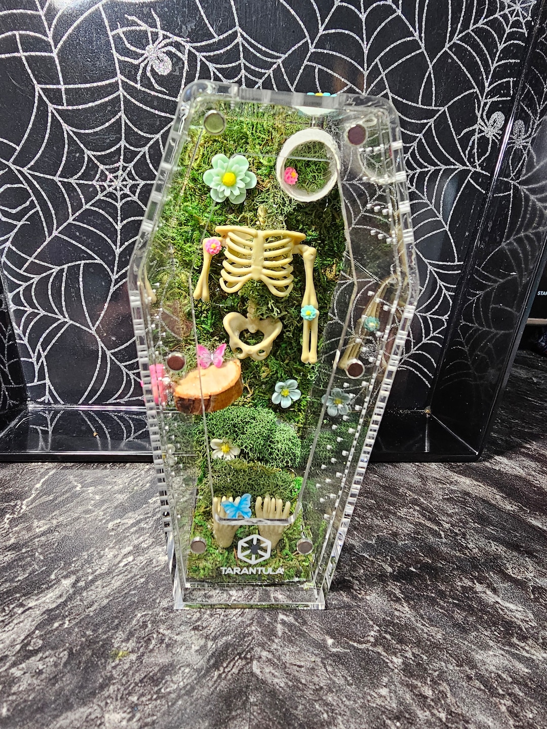 Jumping Spider Coffin Magnetic Enclosure / Terrarium, Skeleton Forest ...