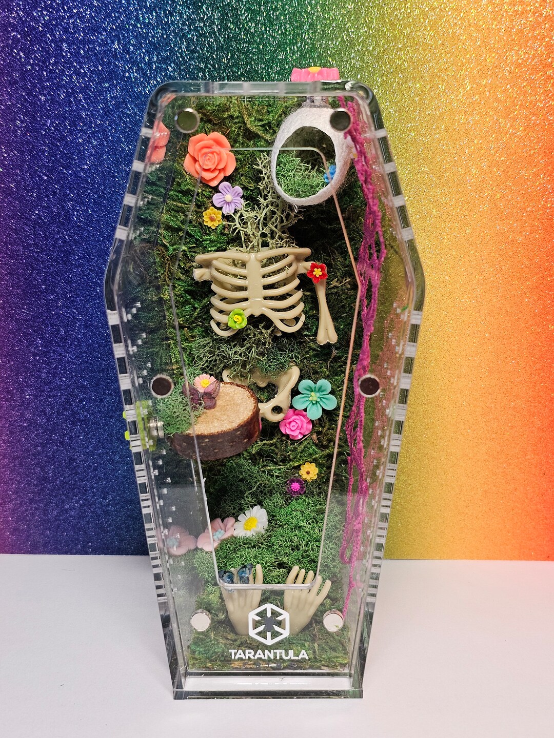 Jumping Spider Coffin Magnetic Enclosure / Terrarium, Magical Rainbow ...