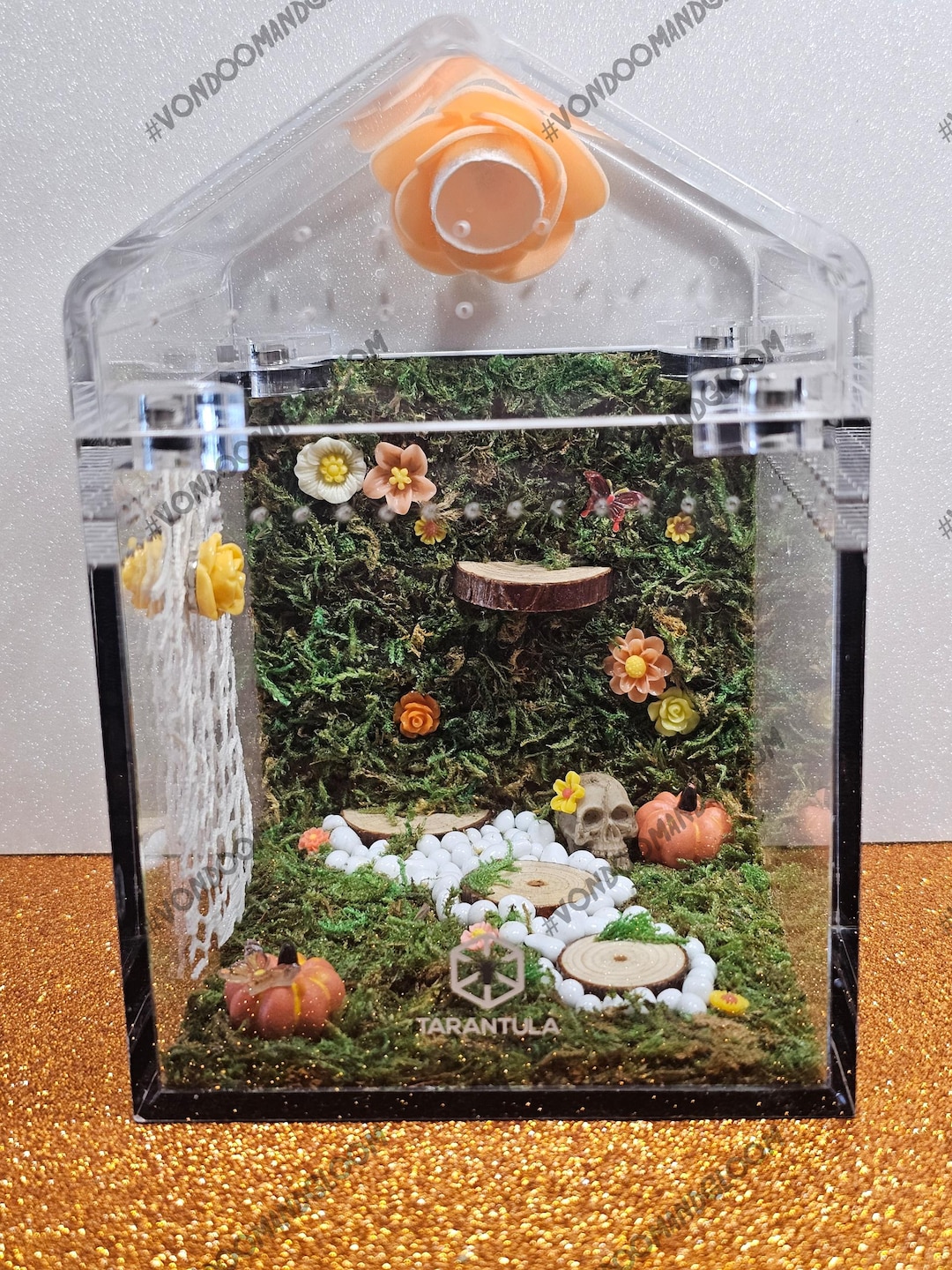 Jumping Spider Coffin House W/ Magnetic Roof, Enclosure/ Terrarium ...