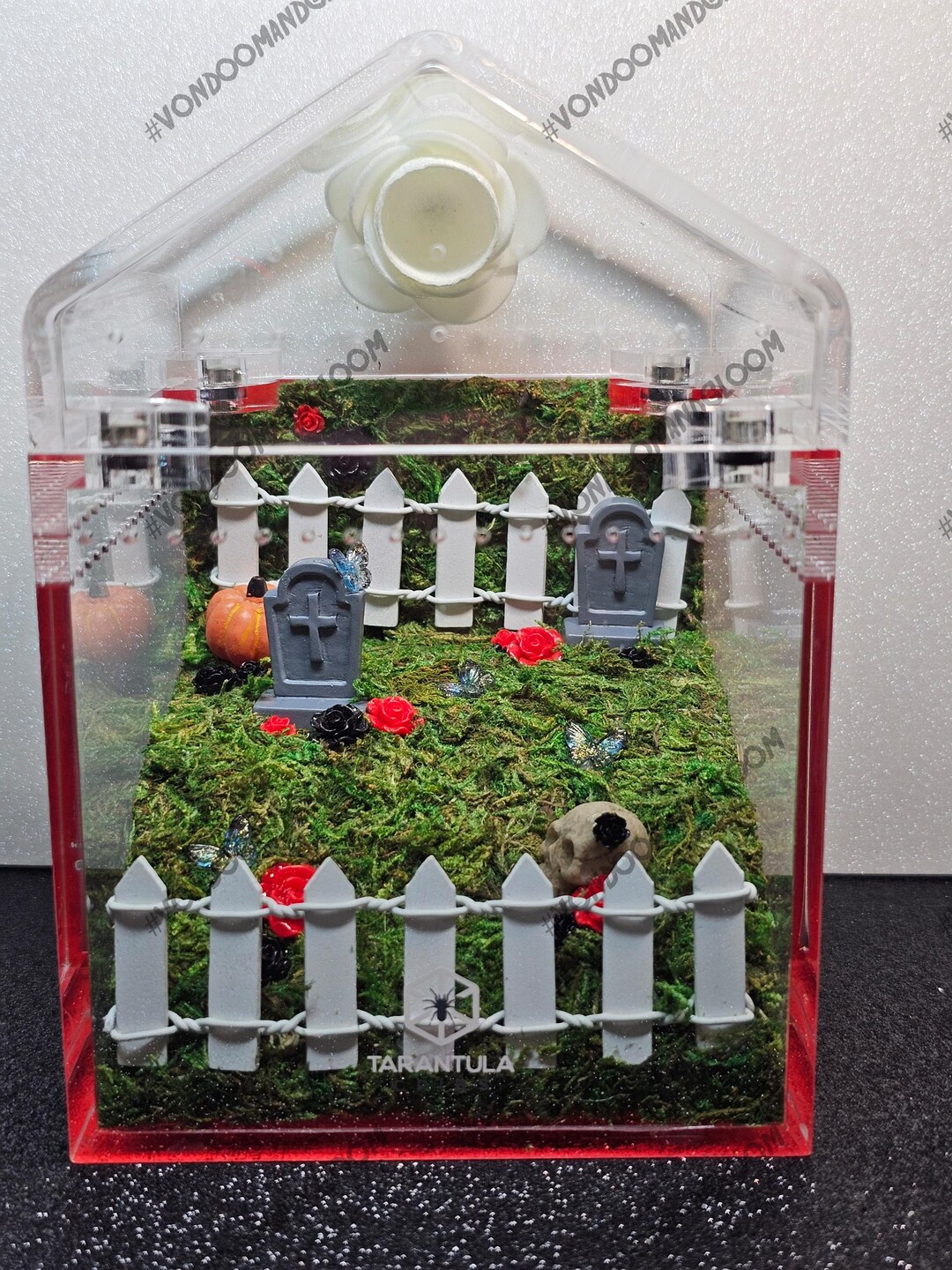 Jumping Spider Coffin House W/ Magnetic Roof, Enclosure/ Terrarium ...