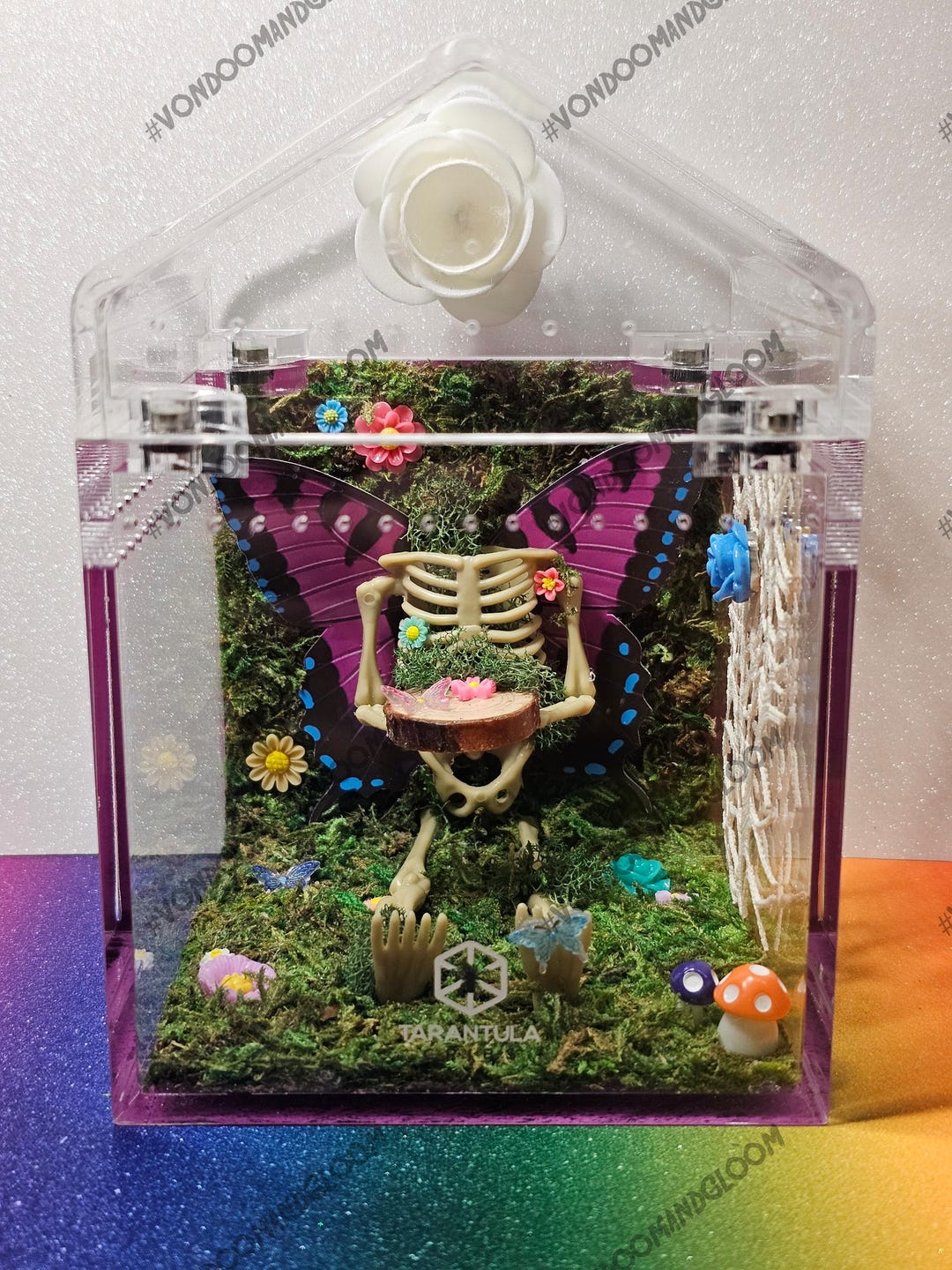 Jumping Spider House Shaped Enclosure With Magnetic Roof/ Terrarium ...