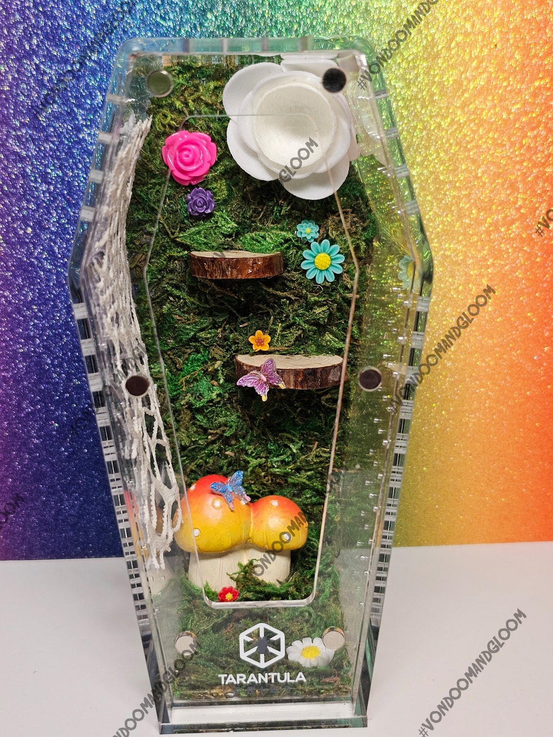 Jumping Spider Coffin Magnetic Enclosure / Terrarium, Rainbow Mushroom ...