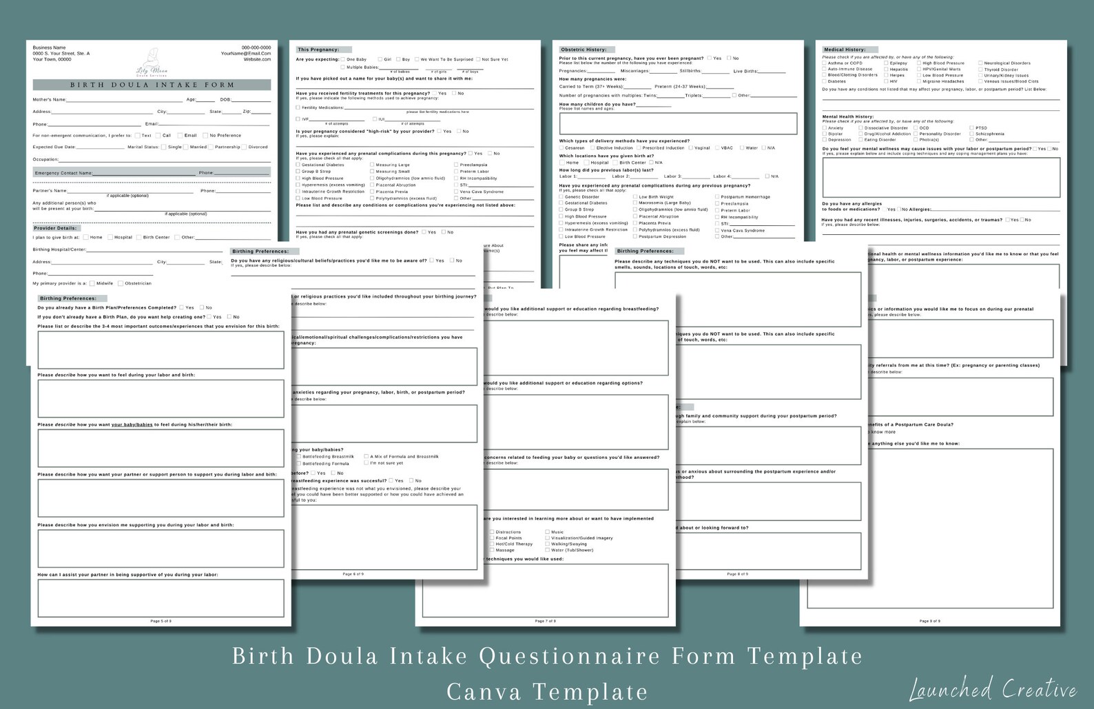 Birth Doula Intake Questionnaire Form Template | Birth Doula Intake ...