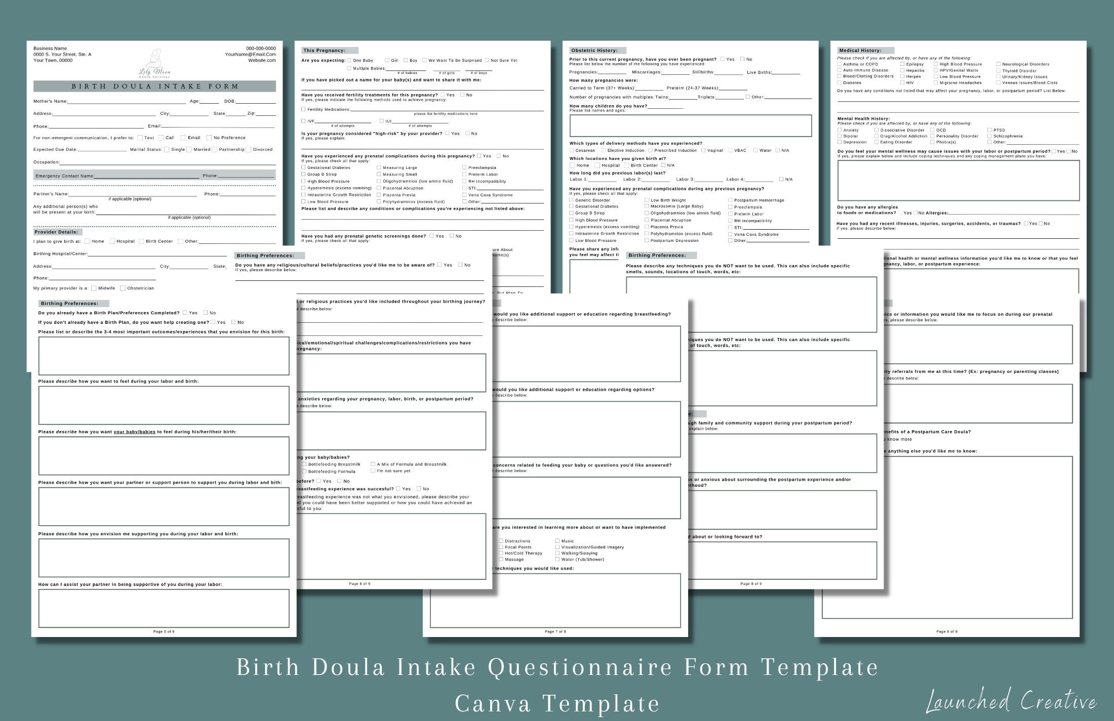 Birth Doula Intake Questionnaire Form Template | Birth Doula Intake ...