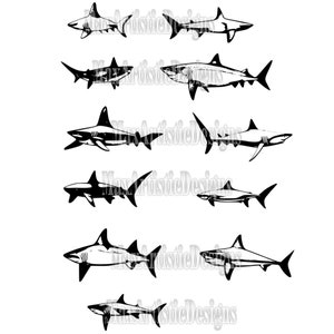 100+ Sharks Cnc Cut Files, Template Crafts Dxf SVG EPS Cartoon Shark ...