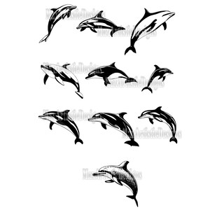 35+ Dolphins Artistic Designs Cnc Vectors Pack Dxf Svg Eps Figures ...