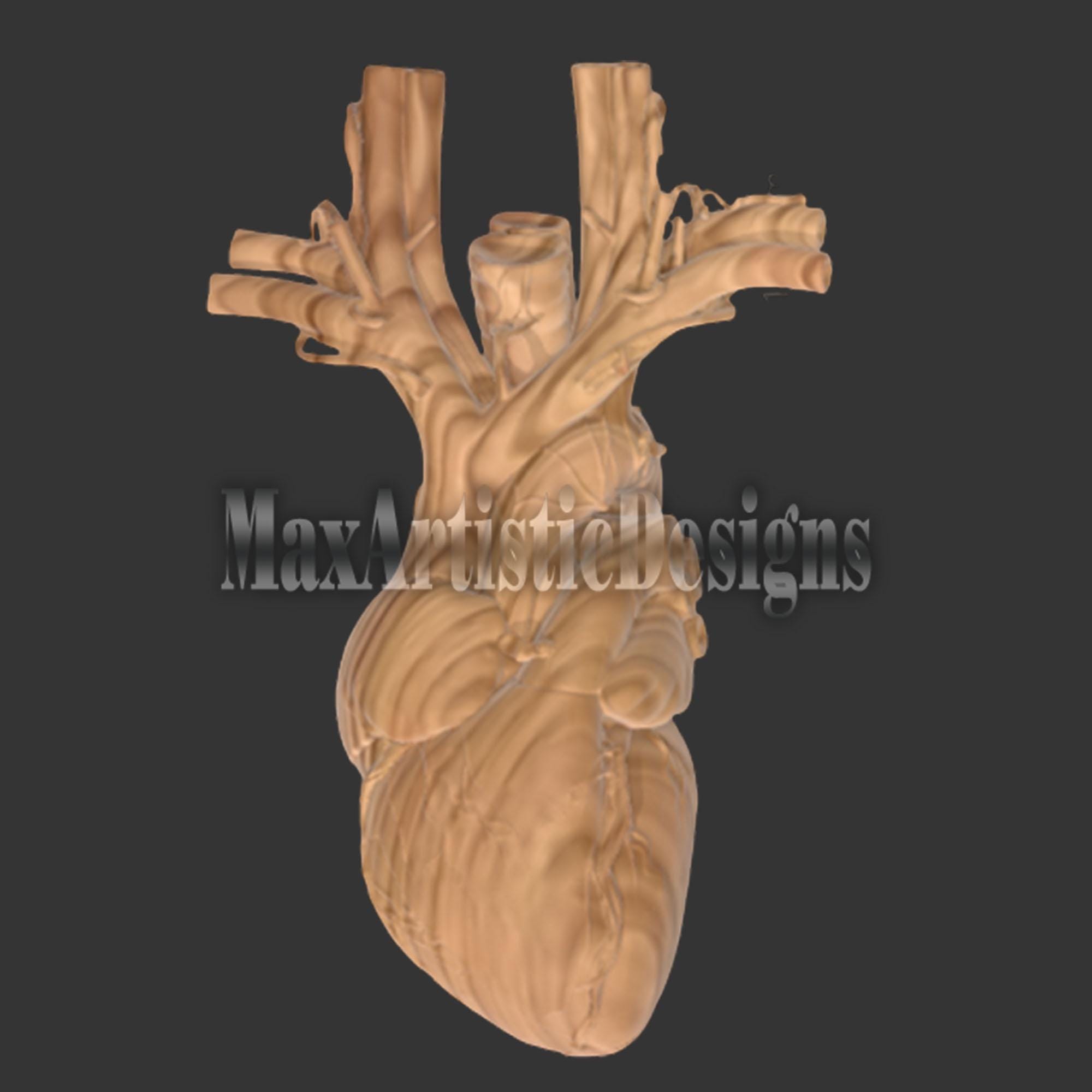 2 Human Hearts in 3d Stl Format for 3d Printers Cnc Routers - Download ...